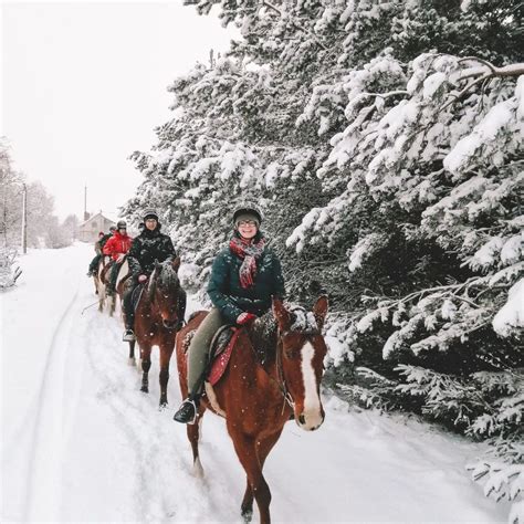 Молоко Долина Чому слід їсти домашній сир на сніданок Найбільш безпрограшною ранковою їжею