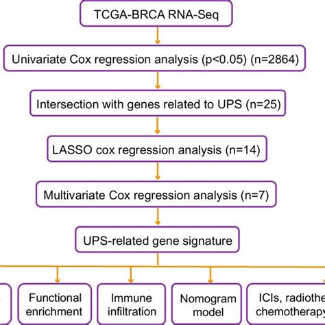 Flowchart For The Research Process Of The Prognostic Ups Related Signatures Download