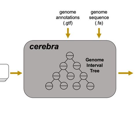 Figure S1 Spatial Contiguity Weights Rooks And Queens A Rooks Download Scientific Diagram
