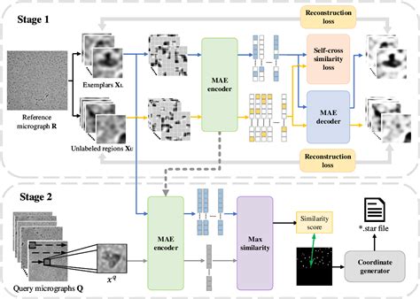 figure 1 from cryomae few shot cryo em particle picking with masked