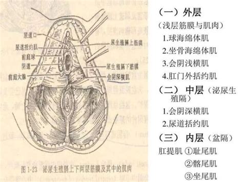 图片来源：网络