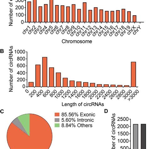 Differences And Characterizations Of CircRNA Expression Profile A Download Scientific