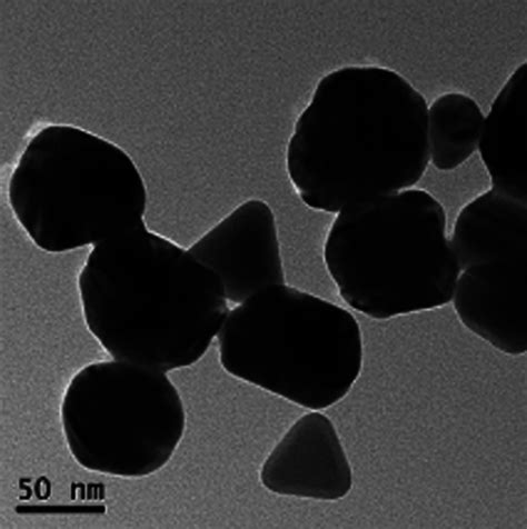 Stretchable And Flexible Micro Nano Substrates For Sers Detection Of Organic Dyes Pmc