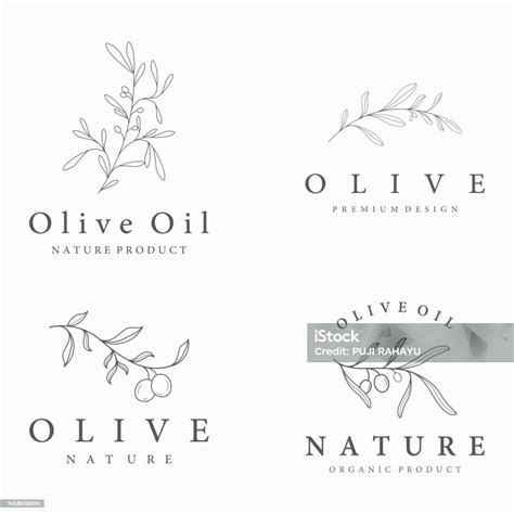식물 로고 템플릿 손으로 그린 천연 올리브 잎과 과일 약초 올리브 오일 화장품 또는 아름다움 0명에 대한 스톡 벡터 아트 및 기타 이미지 Istock