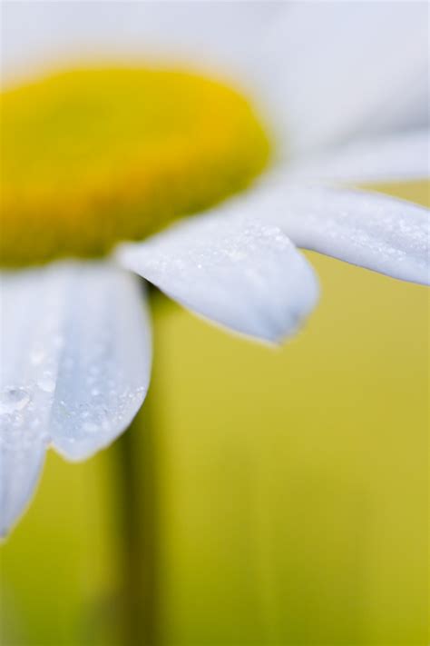 6 Essential Steps In Any Post Processing Workflow