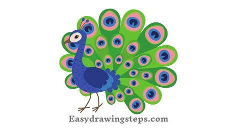 10 Easy Steps To Draw Simple Peacock Drawing Easy Drawing 10 Easy Steps To Draw Simple Peacock Drawing Easy Drawing