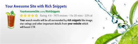 Top 10 Best WordPress Rich Snippets Plugins LTHEME