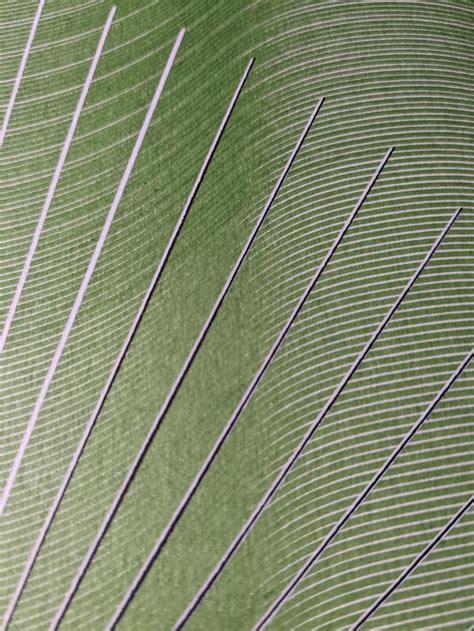 Rhythm R Creativecoding