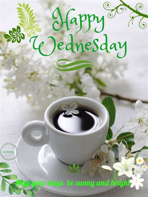 Happy Wednesday สวัสดีตอนเช้า วันพุธ ดอกไม้ต่างแดน