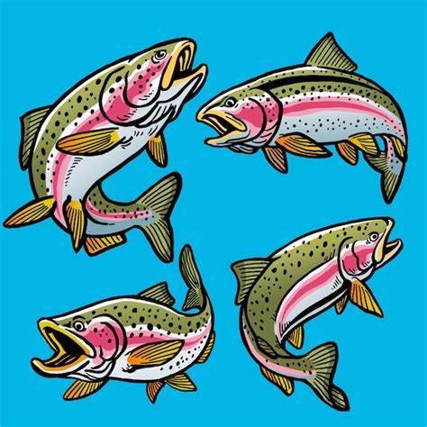 Brook Trout Vectors And Illustrations For Free Download Freepik