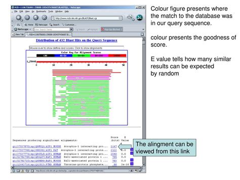 Ppt Protein Sequence Databases Powerpoint Presentation Free Download