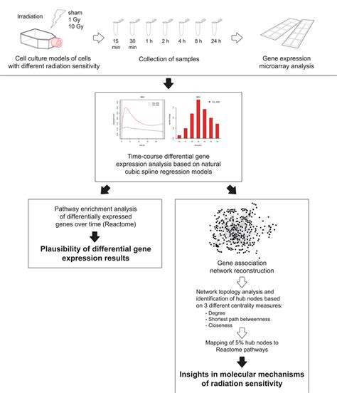 Schematic Workflow Of The Analysis Of Gene Expression Time Course Download Scientific Diagram