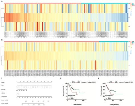 clustering analysis nomogram and k m curves of tcga cohort based on