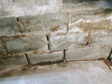 Patching Concrete My Favorite Thing Science Fiction Worlds Of Jeffrey A Carver