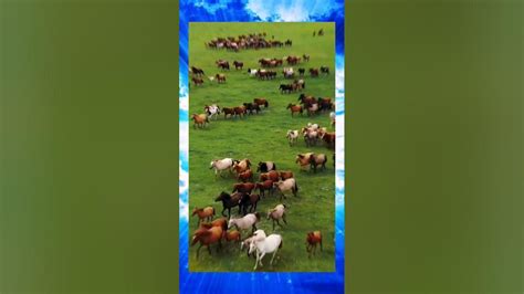 Мөнх Хөх Тэнгэрийн Орон Youtube