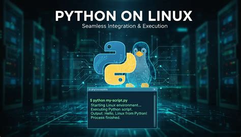 Python如何运行linux Python如何运行linux