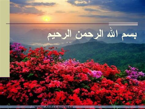 Classification Of Bacteria Pptx