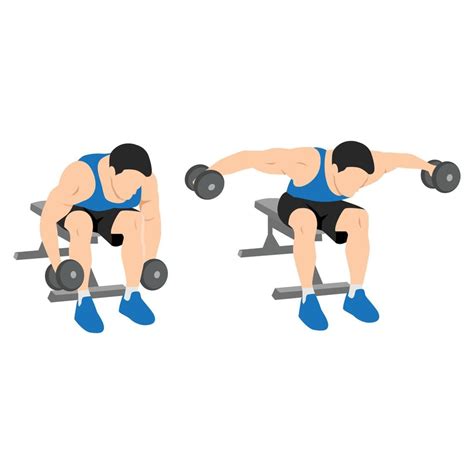 Man Doing Seated Bent Over Rear Delt Raises Exercise 23107221 Vector