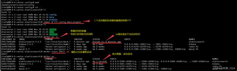 Docker启动容器错误：docker Error Response From Daemon Oci Runtime Create Failed Docker Error