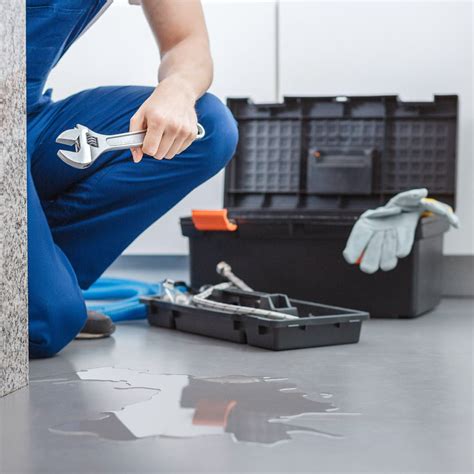 Loss Mitigation And Leak Detection Preferred Management Solutions Pms Ltd