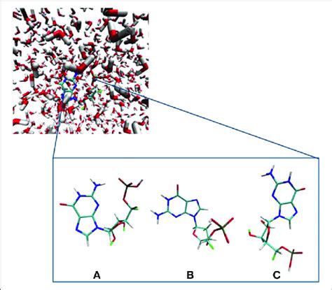 gmp and its different main conformations along the mm dynamics run download scientific