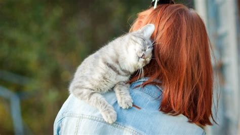 All Power Automate Text Functions With Examples