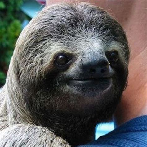 Stream Bartkomichal Music Listen To Songs Albums Playlists For