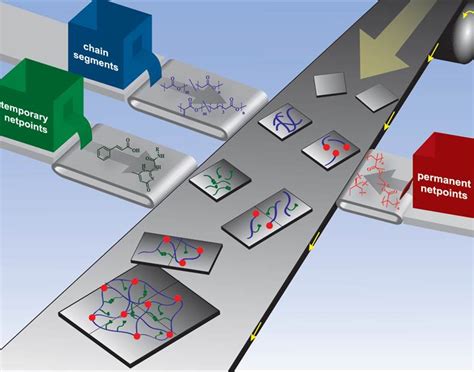 Recent Trends In Shape Memory Polymers Advanced Science News