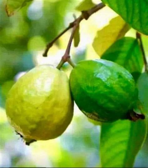 pradeep kumar saini pks on linkedin moral lesson