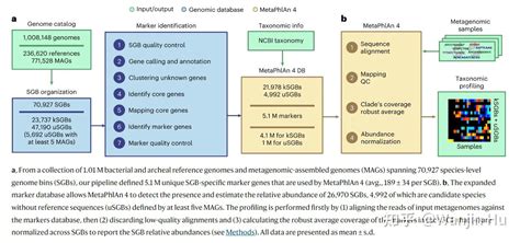 【数据分析】一套适合初学者的宏基因组数据分析过程的讲解 知乎