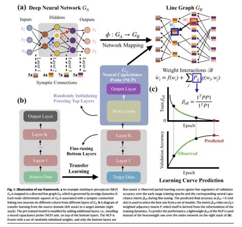 Mapping Neural Networks To Graph Structures Enhan Ainave