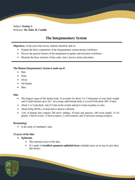 The Integumentary System Lecture Notes Pdf Integumentary System