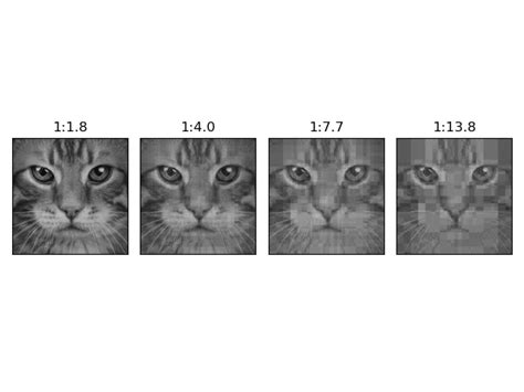 Image Compression From Scratch In Python By Maxwell Conradt Medium