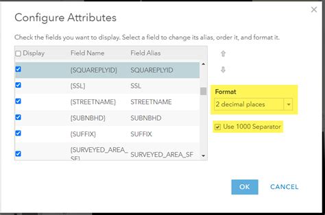 Solved Pop Up Title Number Format Esri Community