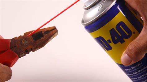 Rust Converter FAQ S Spaceship Earth Grants