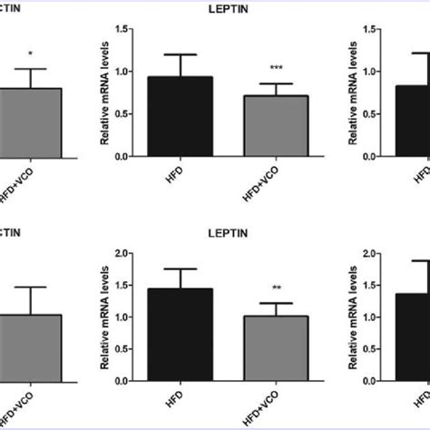 Analysis Of Adiponectin Leptin And Tnf A Mrna Expression In Adipose