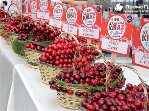 ПРАЗНИК НА ЧЕРЕШАТА в Текирдаг Турция