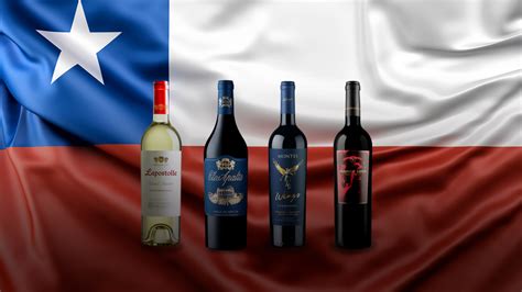 Los Vinos Chilenos Más Recomendados ¿cuáles Deberías Probar