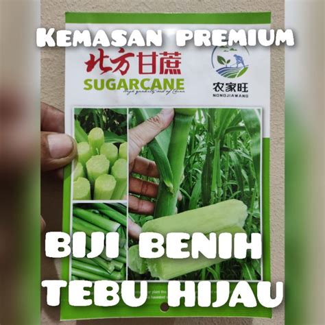 Jual Kemasan Pabrik [isi 200butir]biji Benih Tebu Hijau Impor Shopee Indonesia