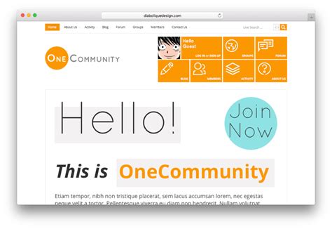 16 Best Buddypress Social Network Wordpress Themes For Community 2017