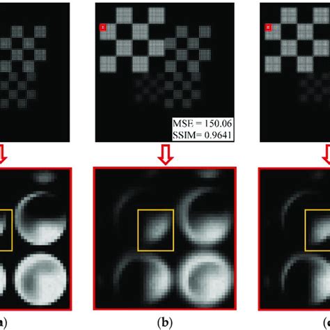Layout Of Real Objects In Light Field Imaging Download Scientific Diagram
