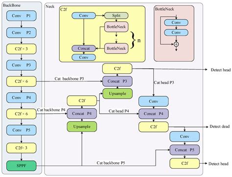 The Network Structure Of Yolov8 Includes The Detailed Structure Of C2f Download Scientific