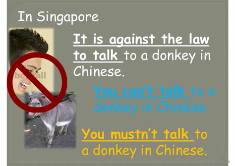 Modals Grammar Guide English ESL Powerpoints