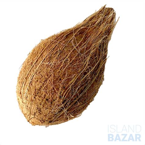 Coconut Dry Natures Bazaar
