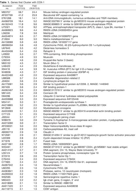Table 1 From Microarray Analysis Of Uterine Gene Expression In Mouse