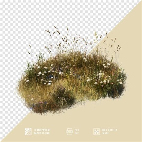Grass Image Without Background Hd Quality Premium Ai Generated Psd
