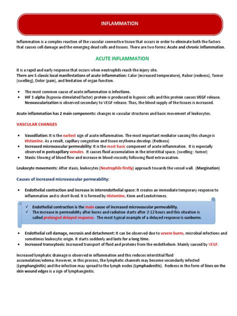 Pathology Book Chapter 2 Inflammation Hk Pdf Inflammation Macrophage