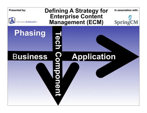 ECM Strategy Development PDF Computer Software And Applications Computing