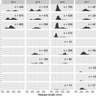 Length Frequencies Of Cod Tagged Between October 2014 And December Download Scientific Diagram
