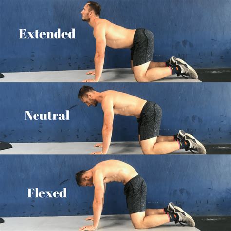 Should You Fear Lumbar Flexion • Stronger By Science
